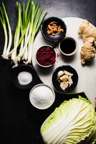 Easy Homemade Kimchi Recipe