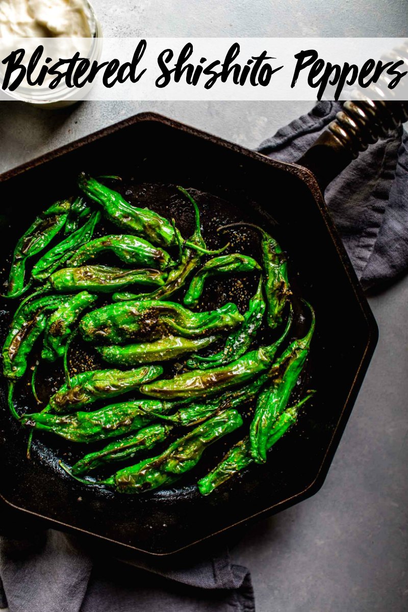 Blistered Shishito Peppers Recipe // {Quick & Easy}