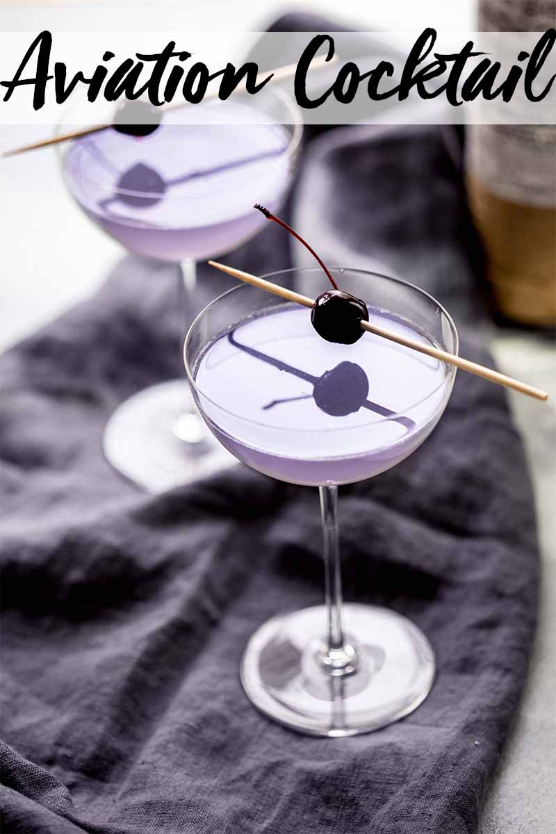 Aviation Cocktail Recipe - Platings + Pairings