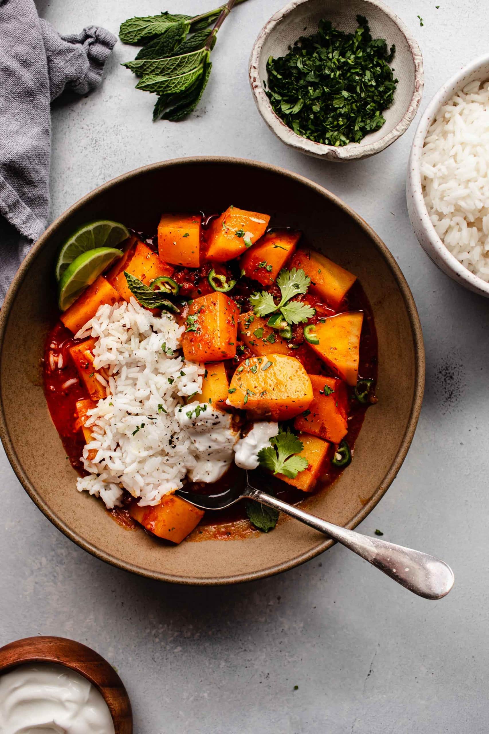 Easy Potato Vindaloo Curry (Aloo Vindaloo Recipe) - Platings + Pairings