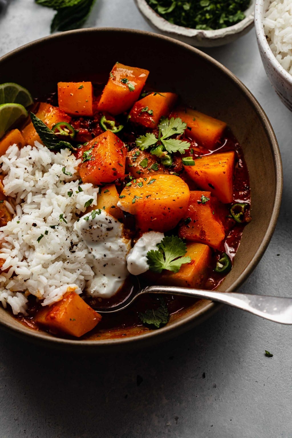 Easy Potato Vindaloo Curry (Aloo Vindaloo Recipe) - Platings + Pairings