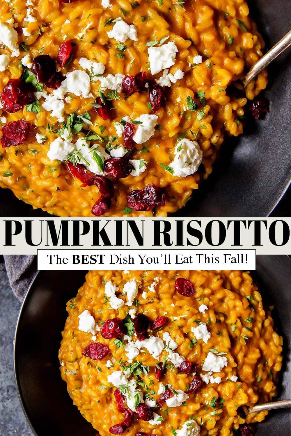 Pumpkin Risotto with Goat Cheese
