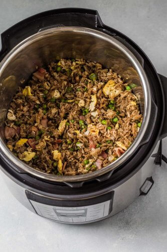 Instant Pot Fried Rice + VIDEO with Bacon - Platings + Pairings