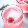Fig Cocktail with Vanilla Bean & Fresh Fig Syrup - Platings + Pairings