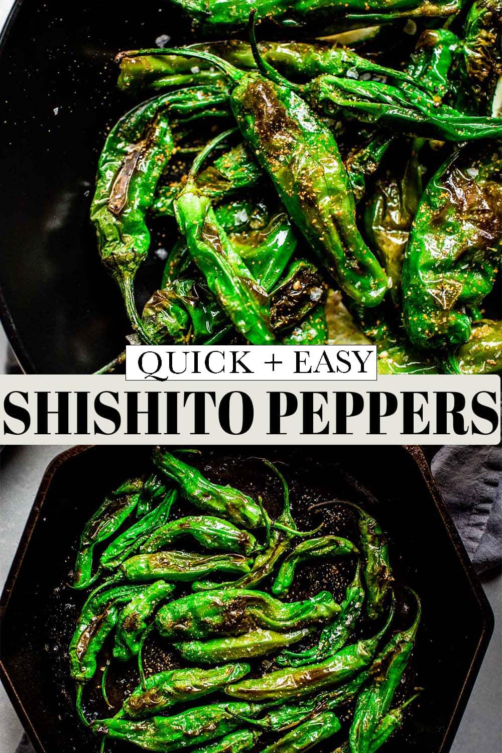 Blistered Shishito Peppers Recipe // {Quick & Easy}