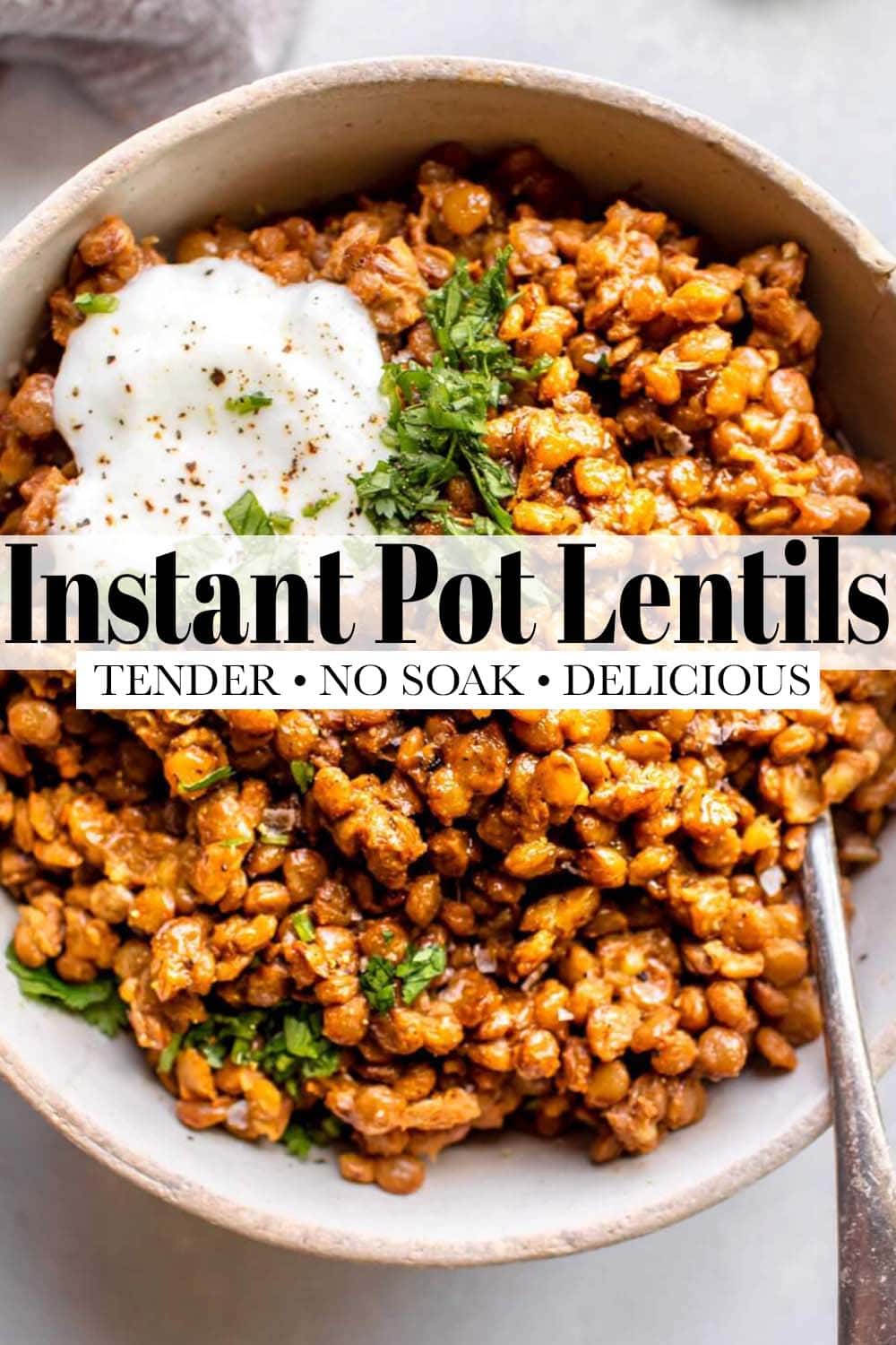 Pressure Cooker Lentils (No Soak Instant Pot Recipe)