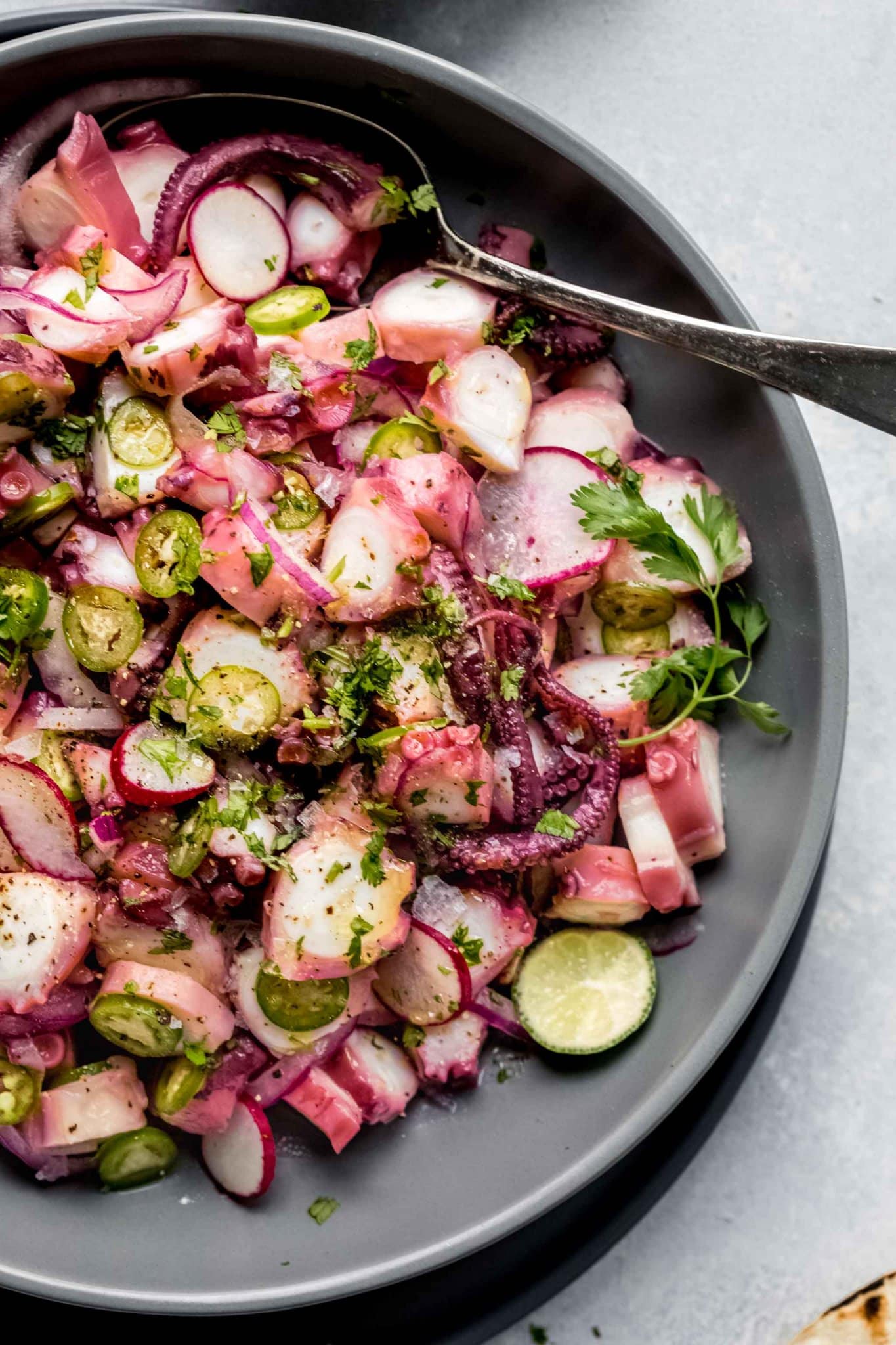Easy Octopus Ceviche Recipe (Ceviche de Pulpo) - Platings + Pairings