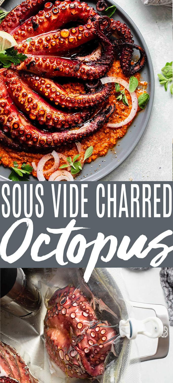 Sous Vide Octopus Recipe // Tender & Flavorful | Platings + Pairings