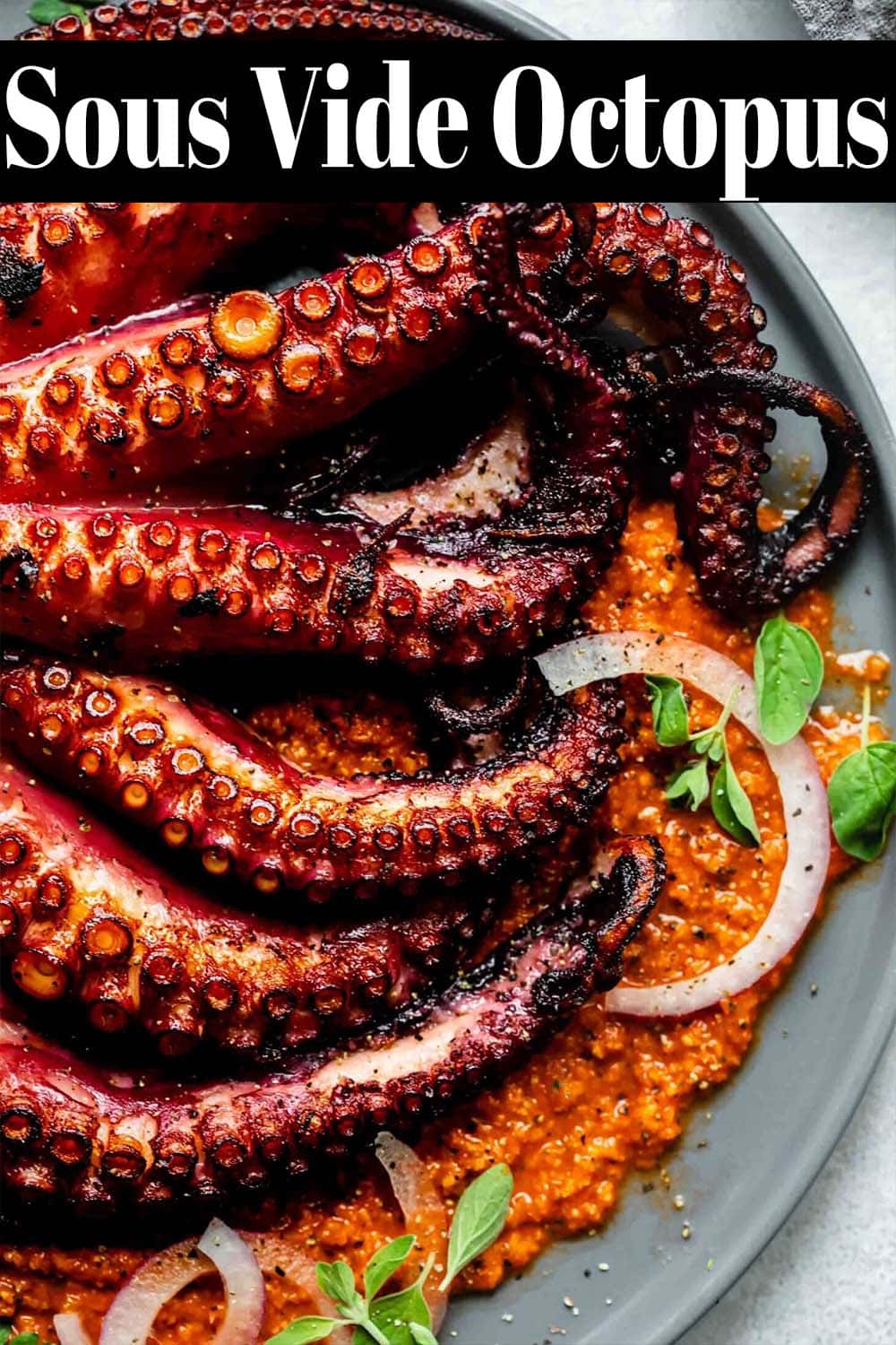 Sous Vide Octopus Recipe (Tender & Flavorful!!!) - Platings + Pairings