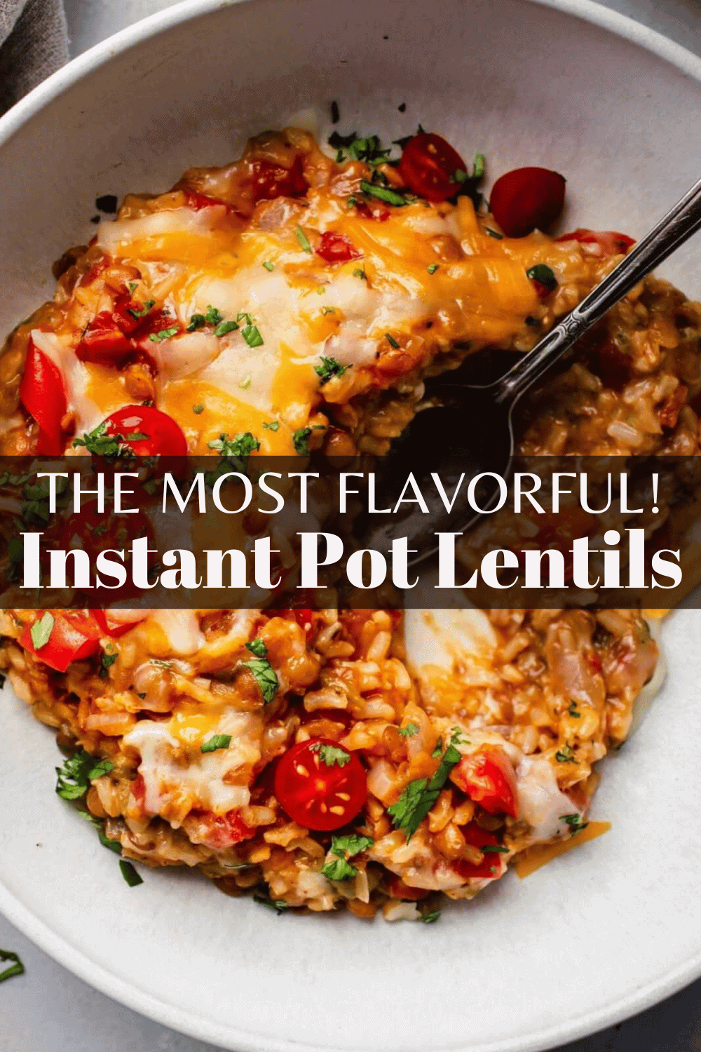 EASY Southwest Cheesy Instant Pot Lentils & Rice