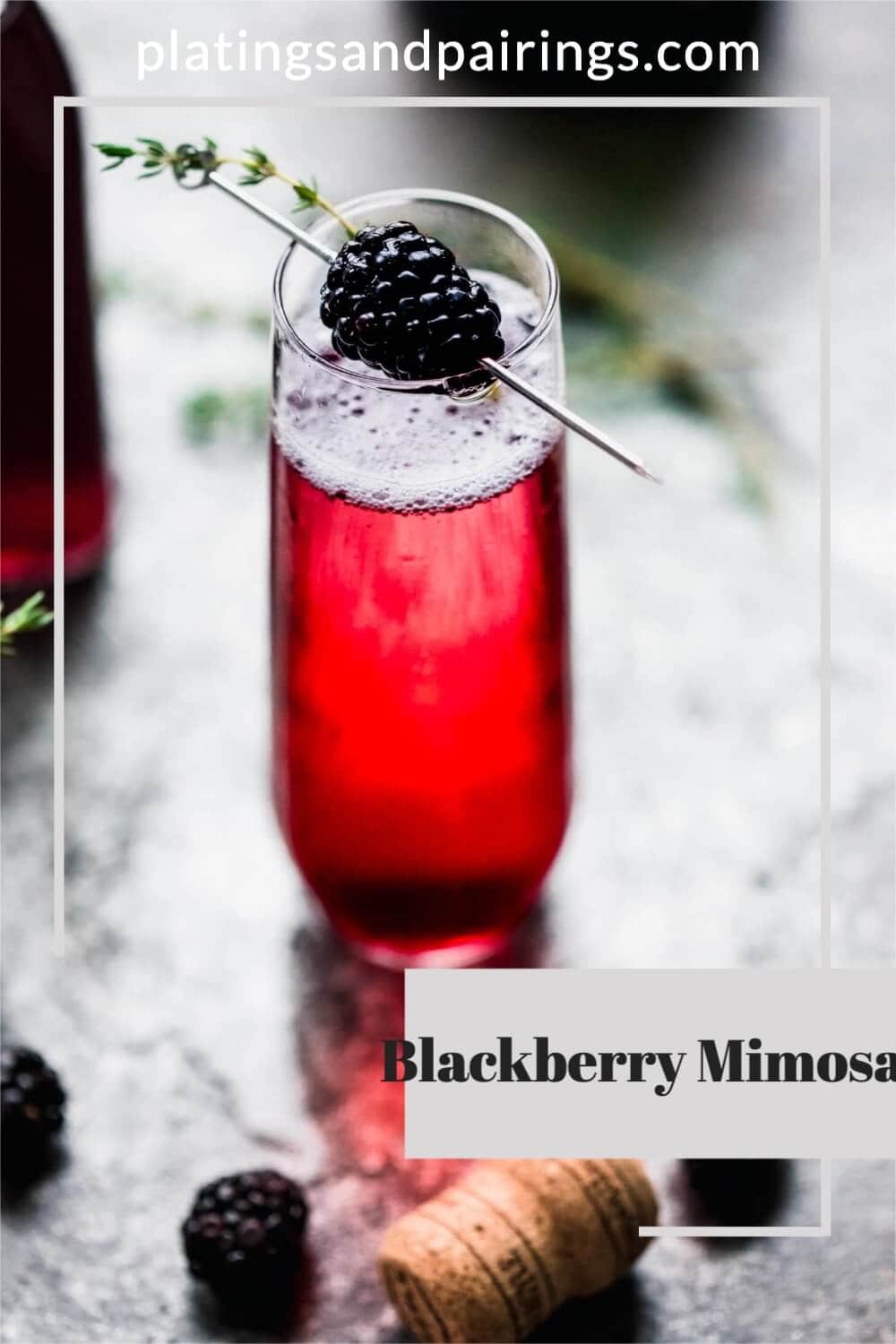 Blackberry Mimosa Recipe