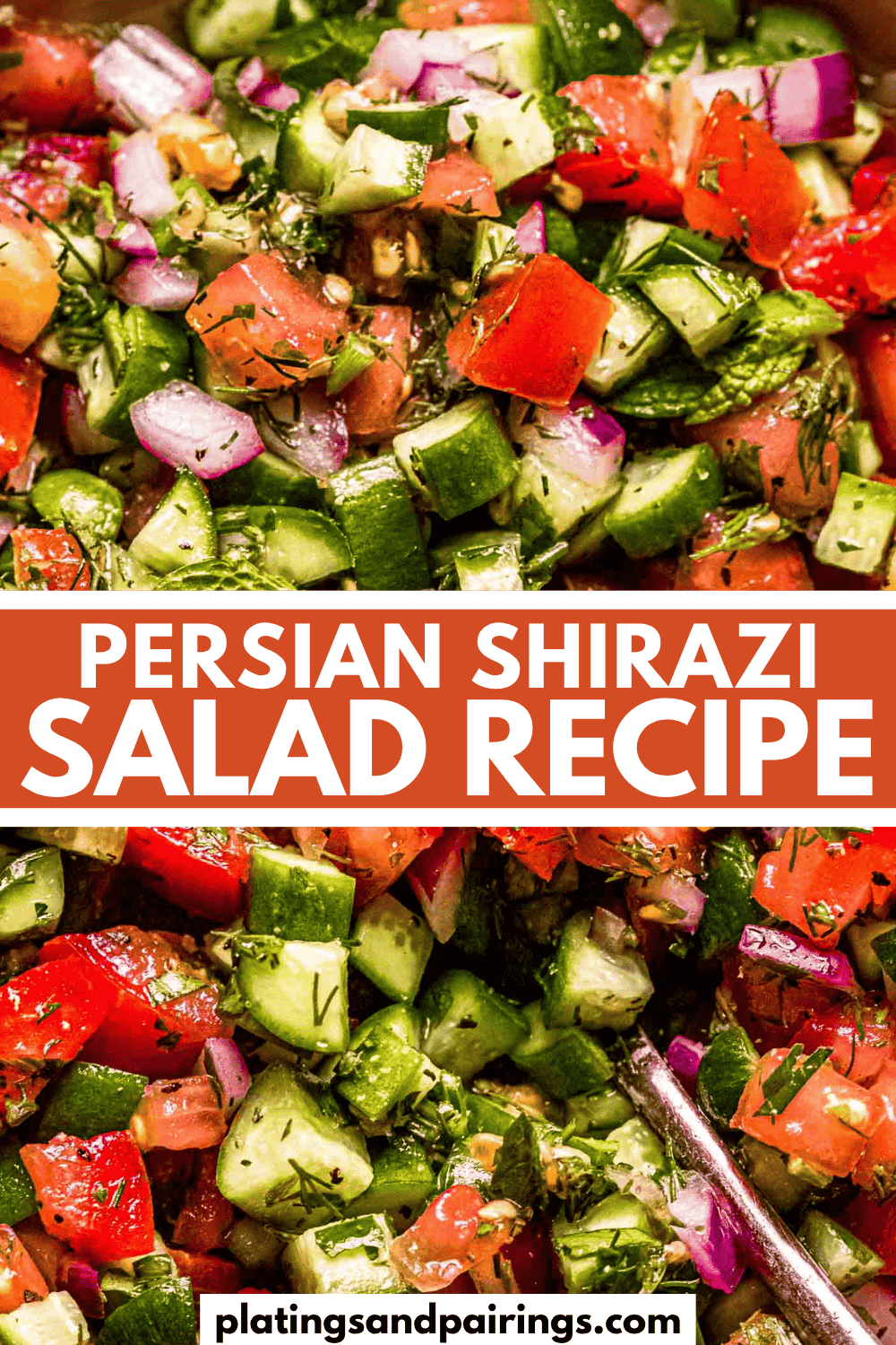 Simple Shirazi Salad Recipe