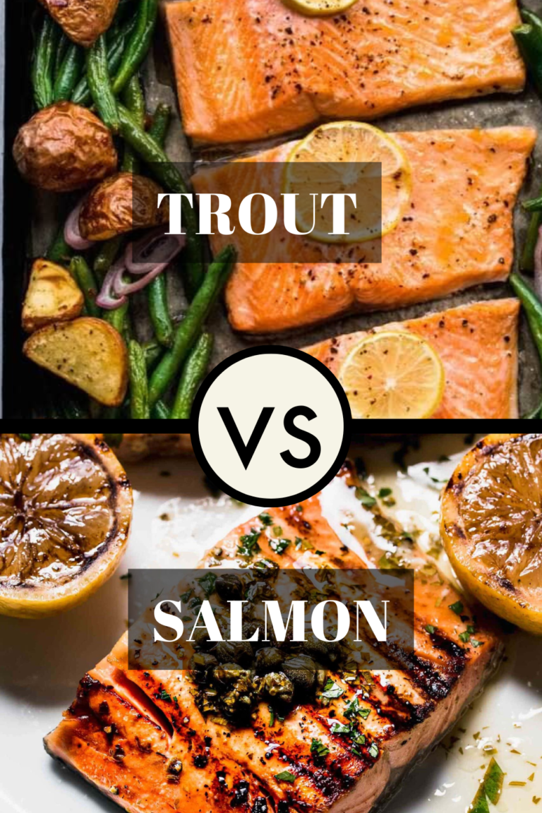 Trout vs. Salmon: The Key Differences - Platings + Pairings
