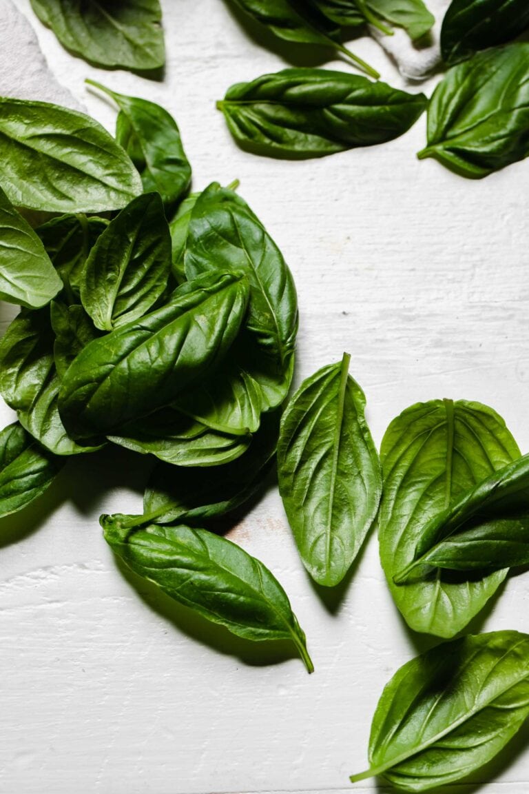 How to Freeze Basil Leaves (The EASY Way!) - Platings + Pairings