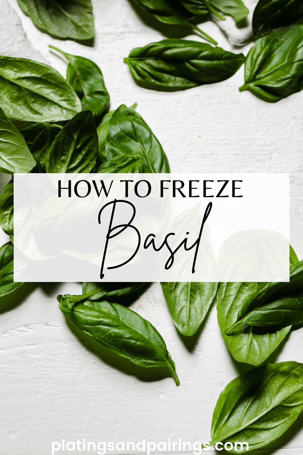 How to Freeze Basil Leaves (The EASY Way!) - Platings + Pairings