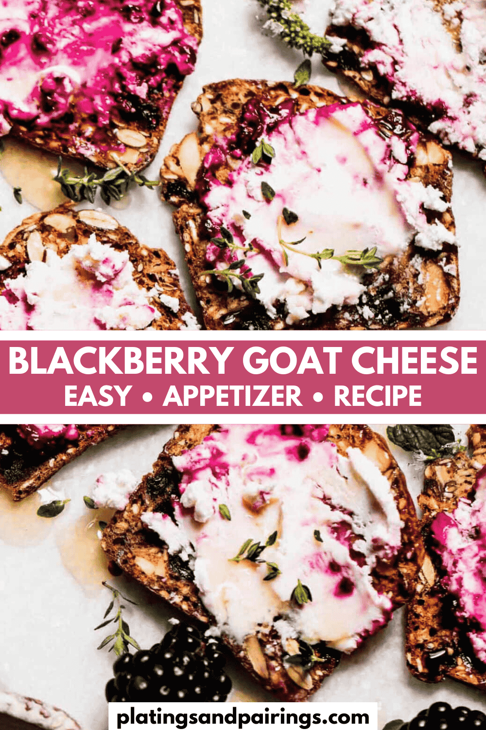 Blackberry Goat Cheese (Easy 5-Ingredient Appetizer)