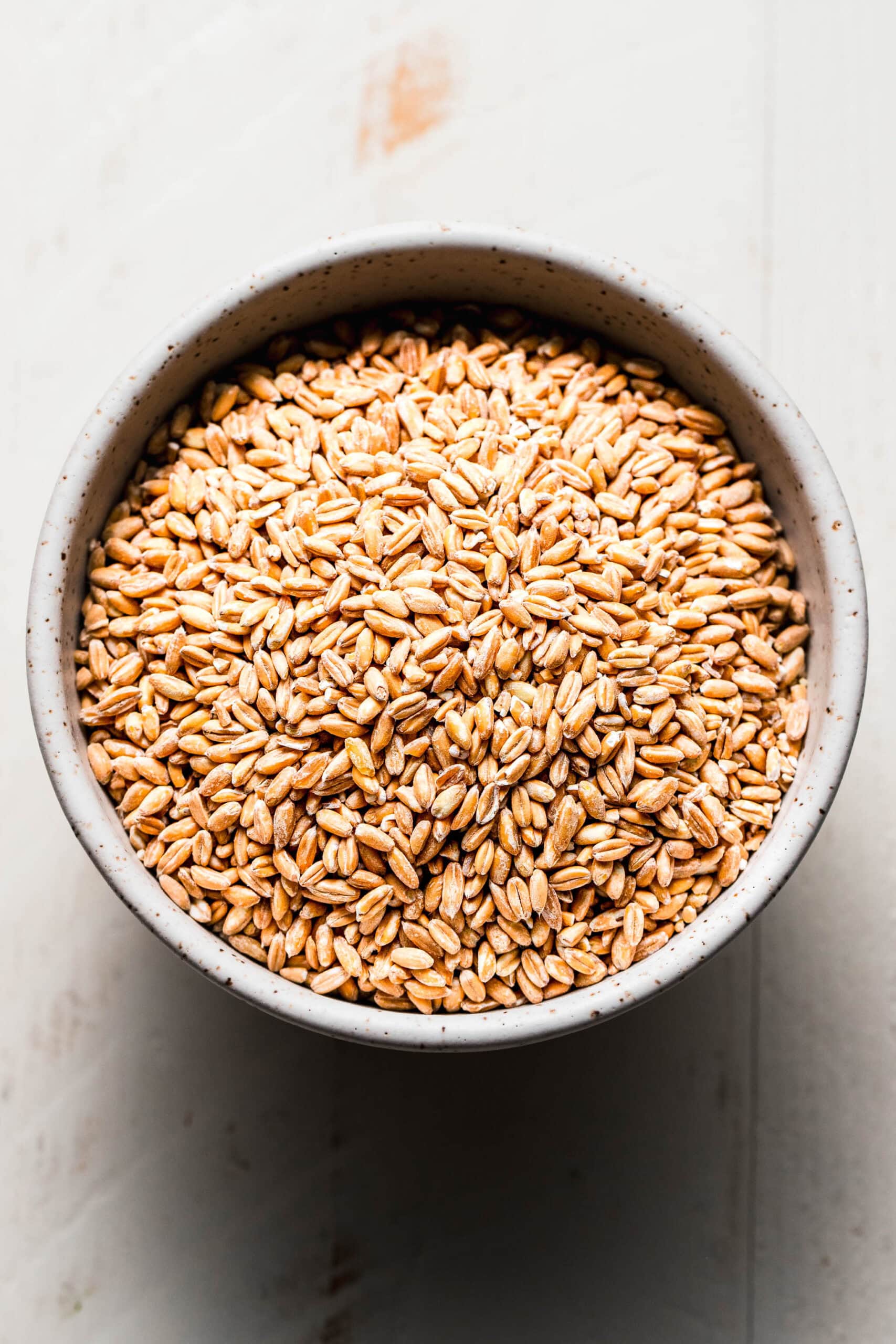 How to Make Instant Pot Farro (Easiest Recipe!!)