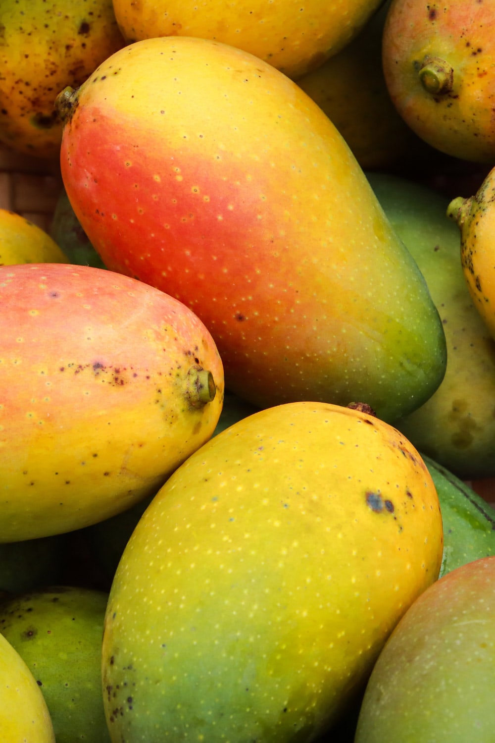 Types of Mangoes: And How to Use Them - Platings + Pairings