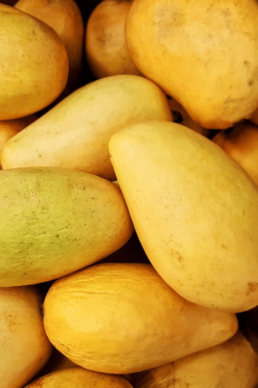Types of Mangoes: And How to Use Them - Platings + Pairings
