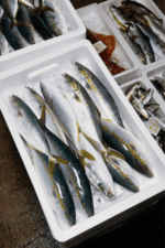 What is Hamachi? (6 Ways to Serve It)