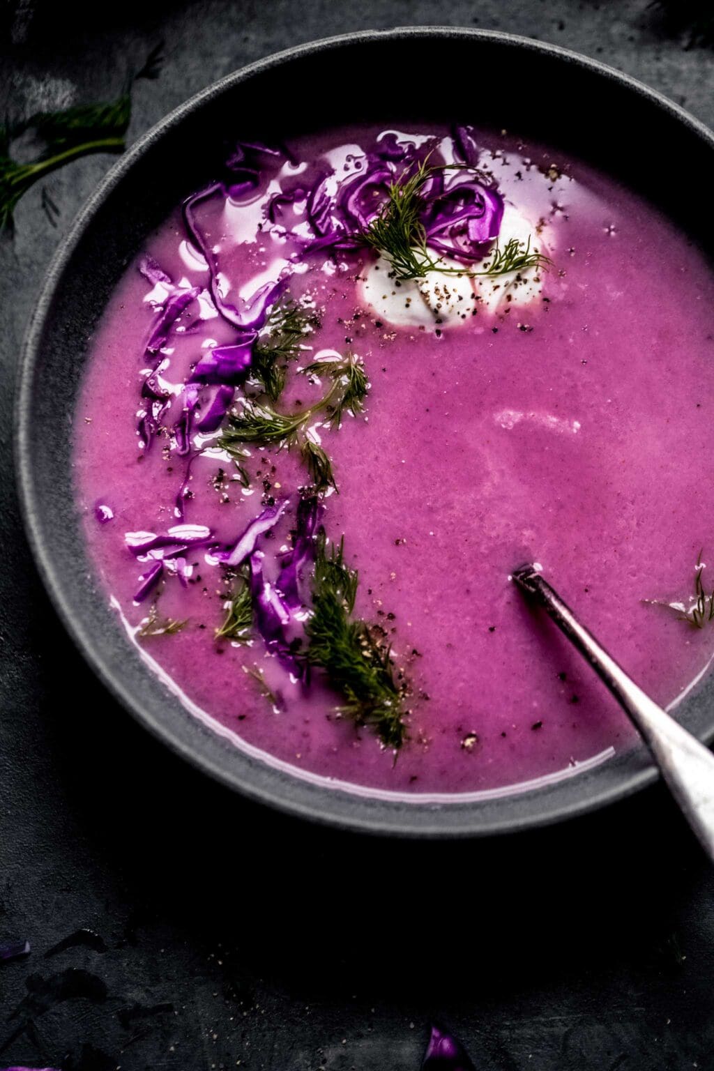 Red Cabbage Soup