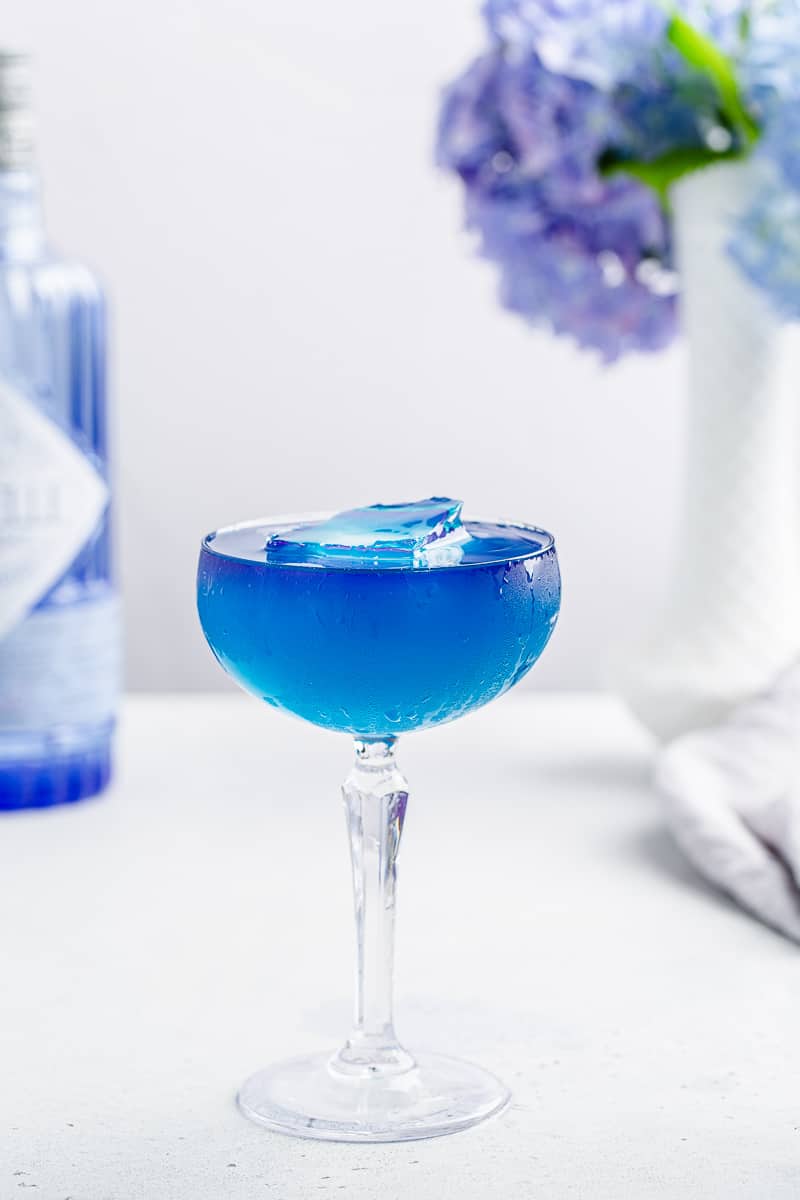 25+ Easy Blue Cocktails to Mix up at Home!