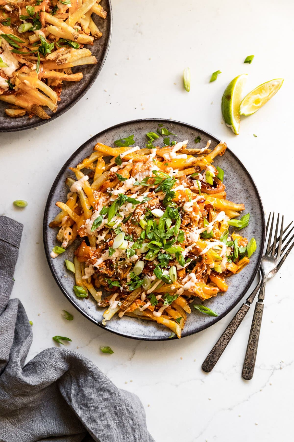30+ Different Types of Fries (the BEST Recipes!)