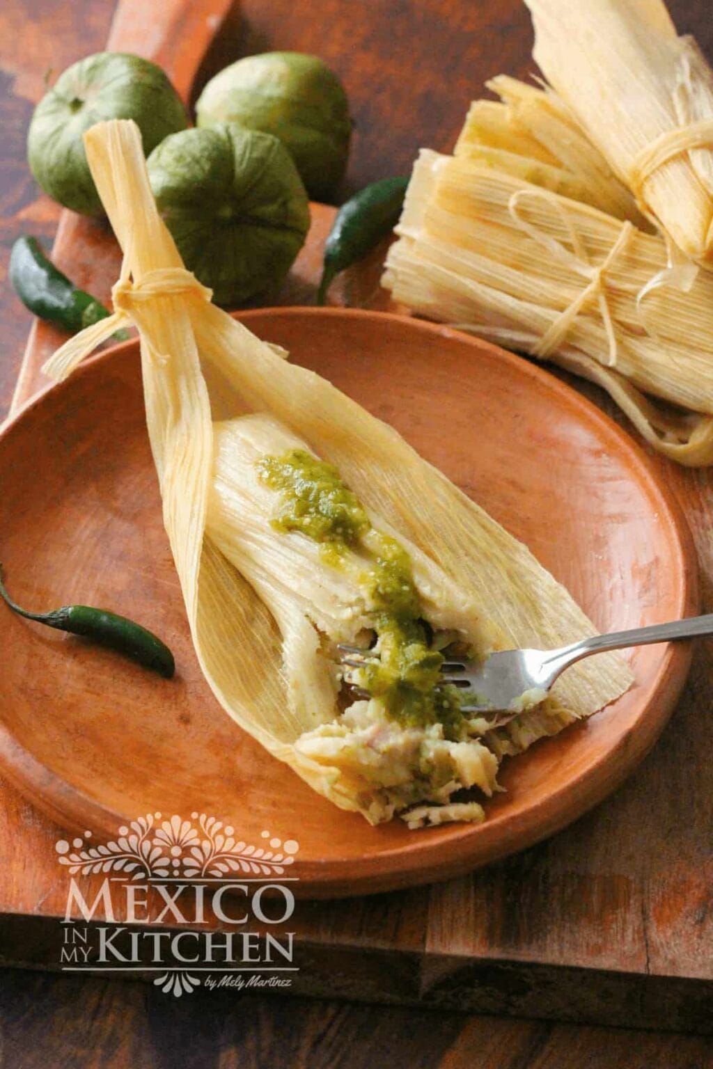 15+ Tasty Sauces for Tamales (with Easy Recipes)