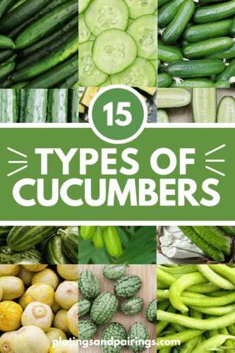15+ Different Types of Cucumbers (with Pictures)