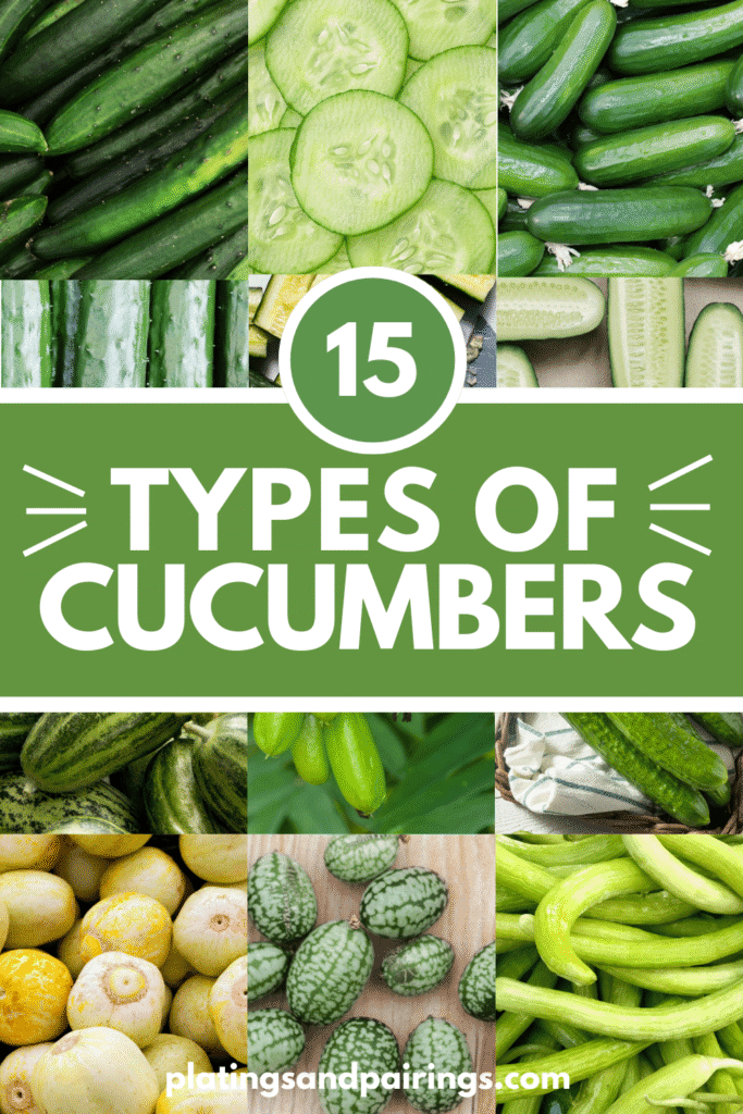 15+ Different Types of Cucumbers (with Pictures)
