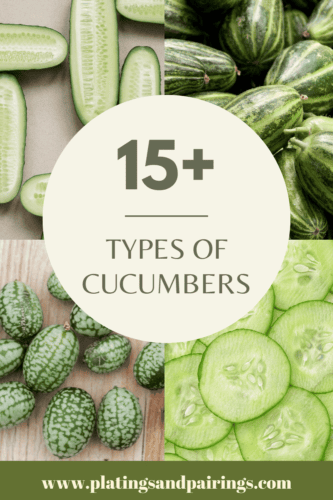 15+ Different Types of Cucumbers (with Pictures)
