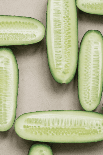 15+ Different Types of Cucumbers (with Pictures)