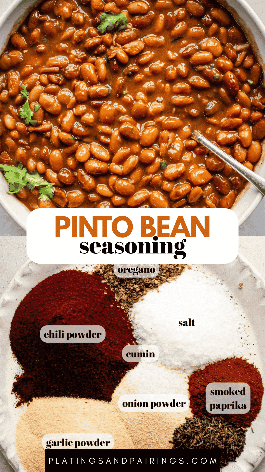 The BEST Pinto Bean Seasoning