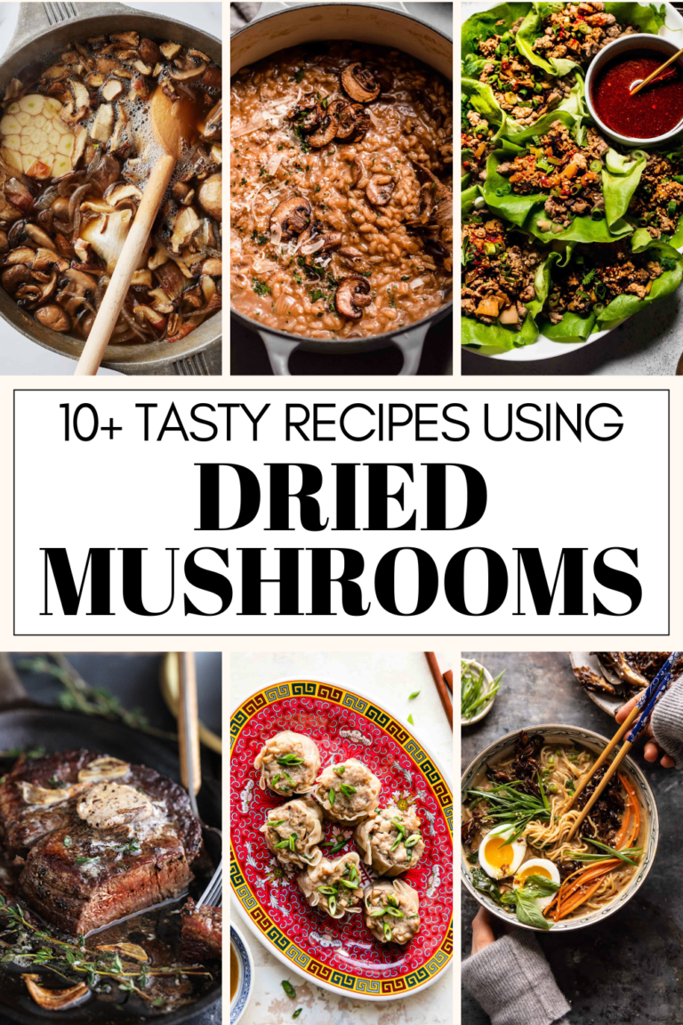 10+ Dried Mushroom Recipes (How to Use Them) - Platings + Pairings