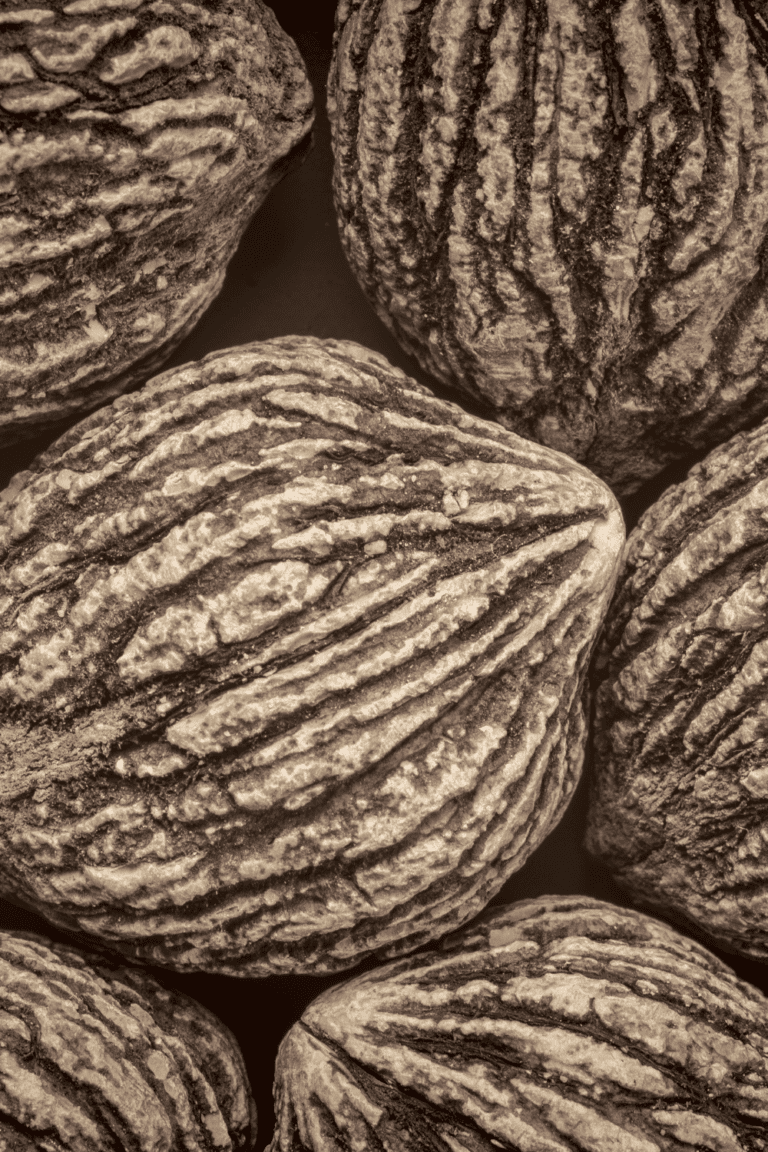 25+ Black Foods that are Packed with Flavor!!! - Platings + Pairings