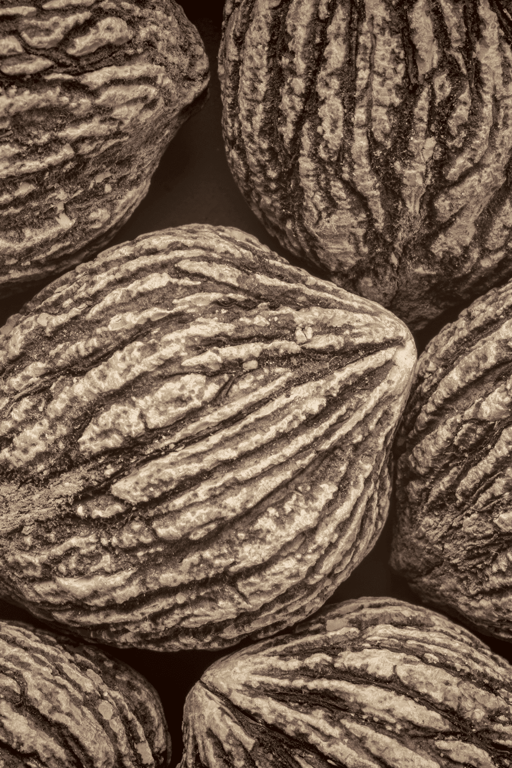 25+ Black Foods that are Packed with Flavor!!! - Platings + Pairings