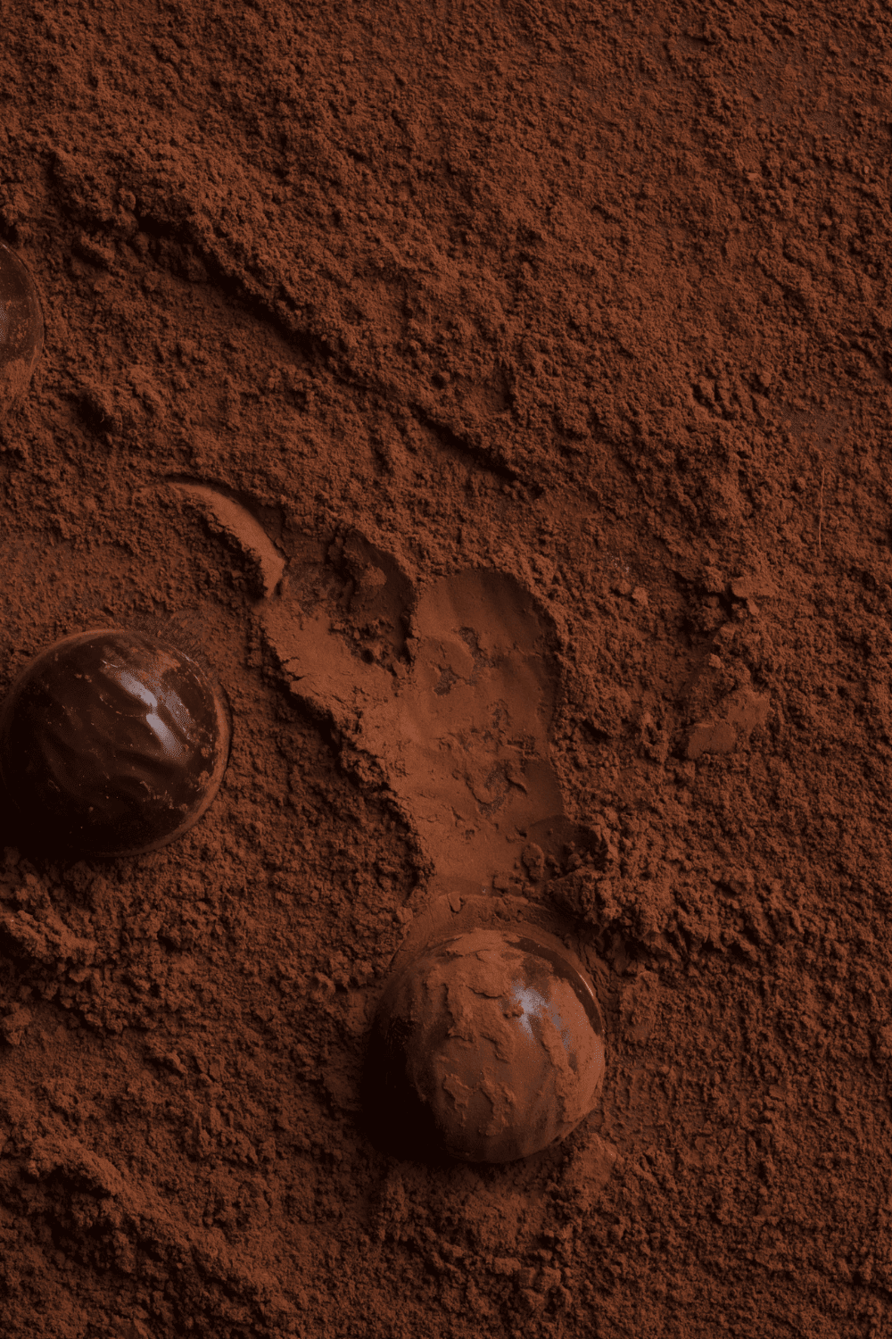 25+ Black Foods that are Packed with Flavor!!! - Platings + Pairings