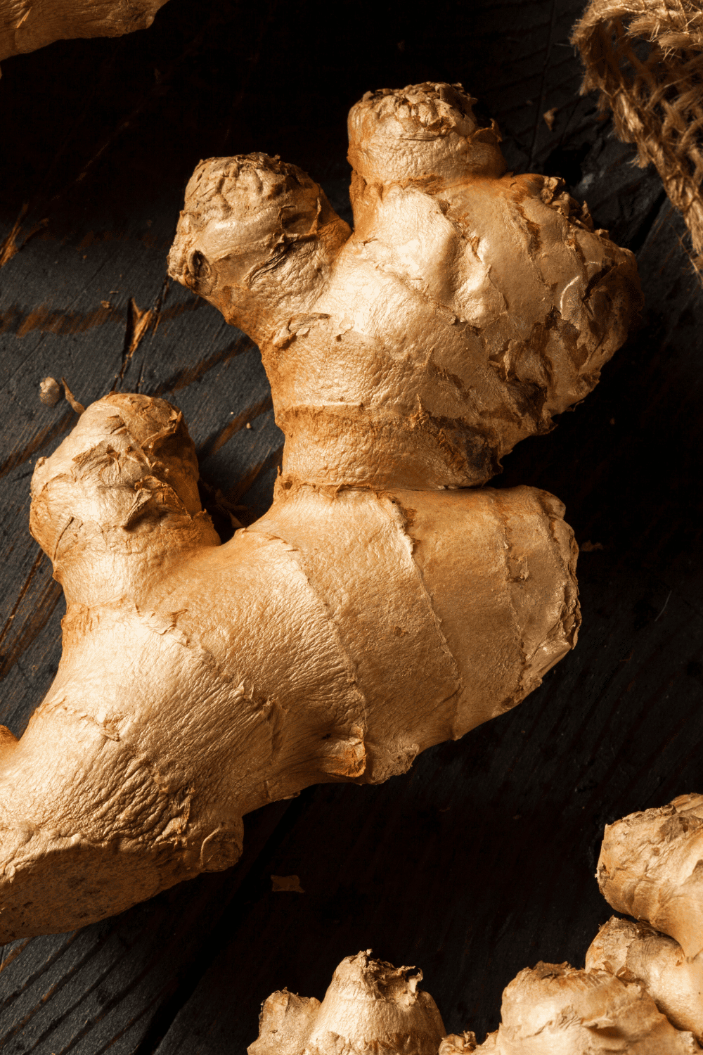 35+ Brown Foods for a Color Party (Sweet & Savory) - Platings + Pairings