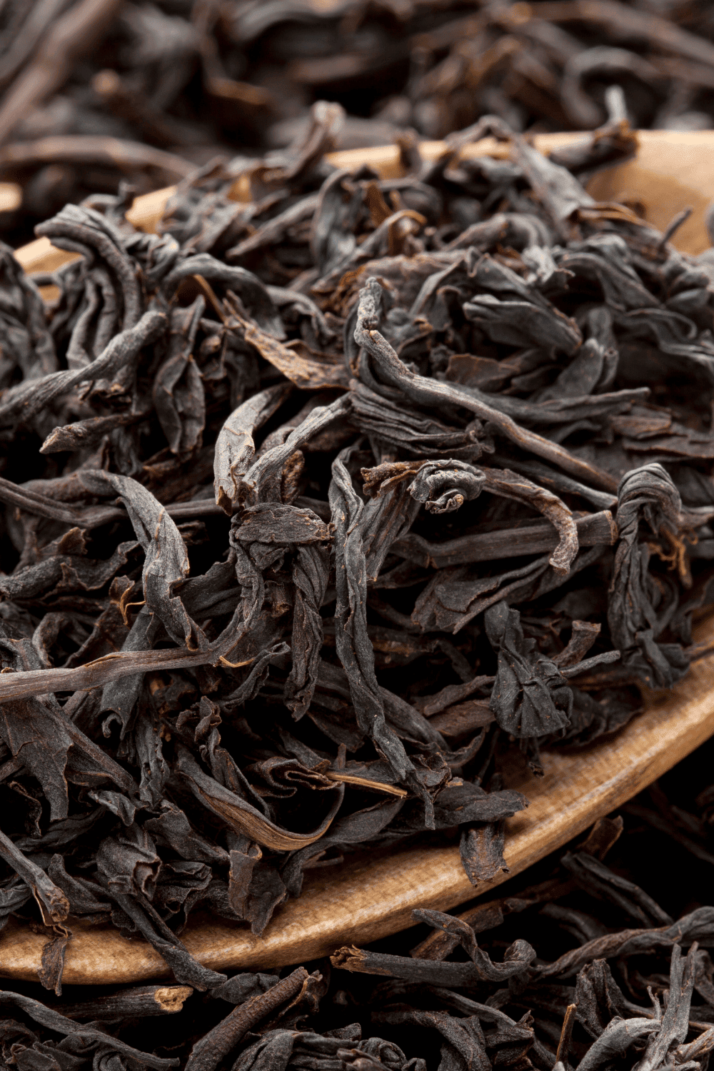 25+ Black Foods that are Packed with Flavor!!! - Platings + Pairings