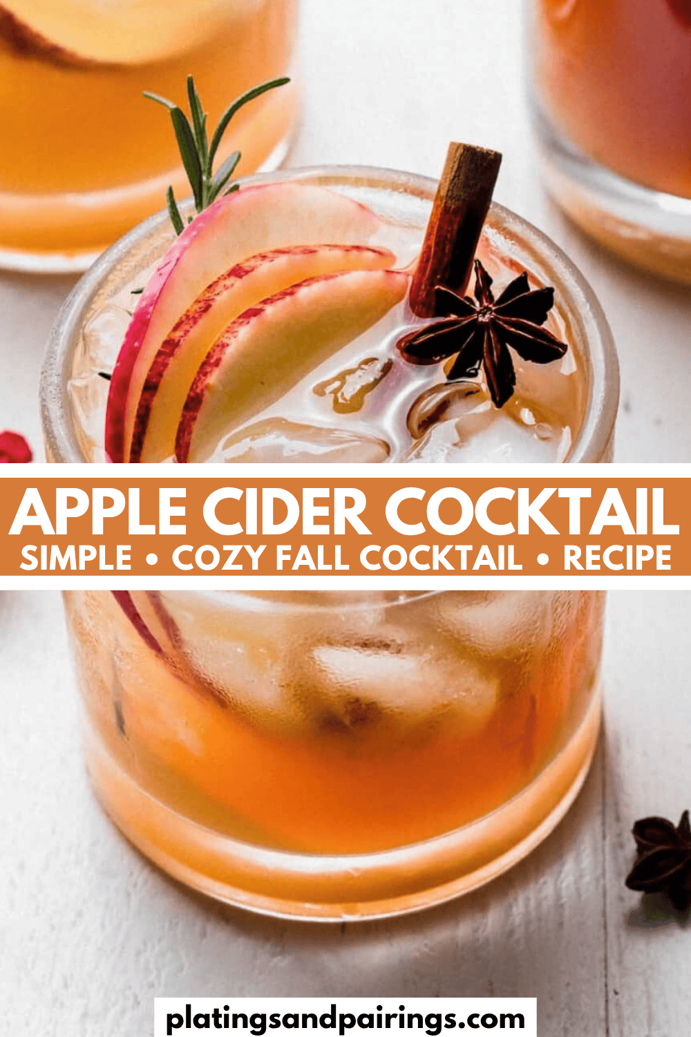 Apple Cider Cocktail with Vodka (Easy Recipe!!!)