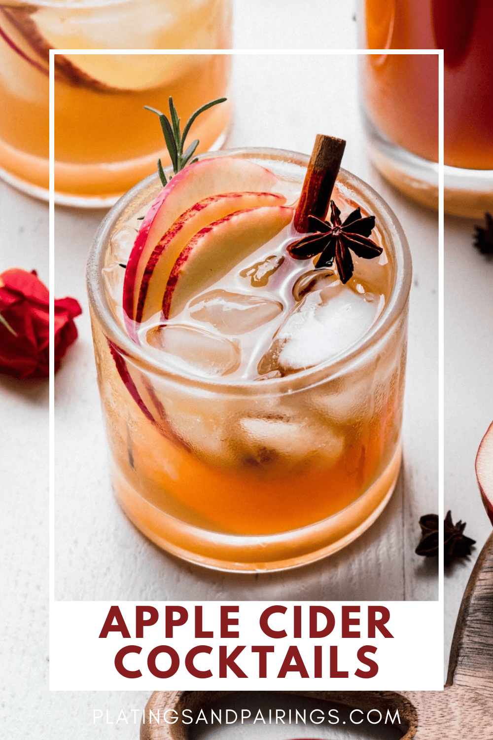 Apple Cider Cocktail with Vodka (Easy Recipe!!!)