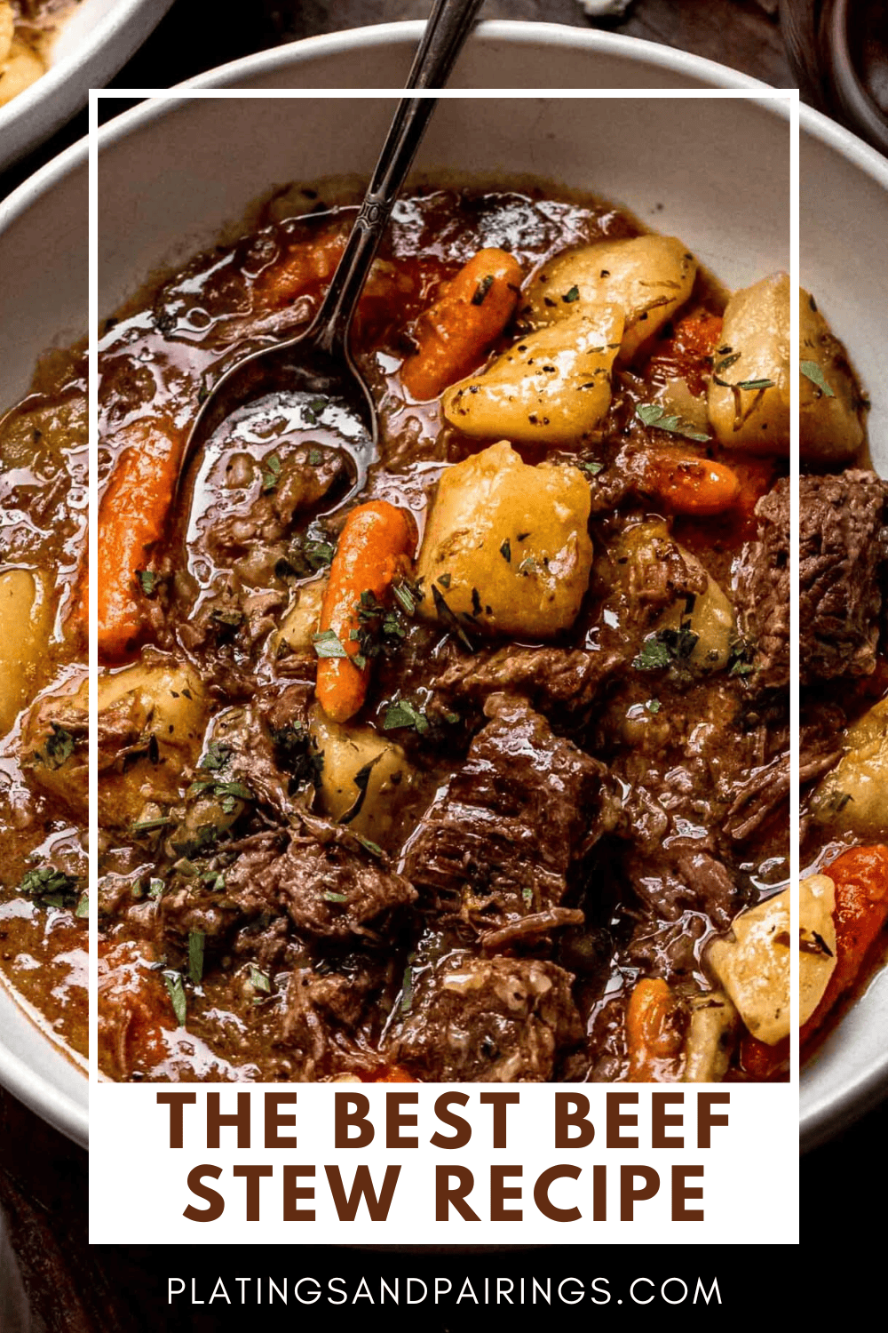 The BEST Instant Pot Beef Stew