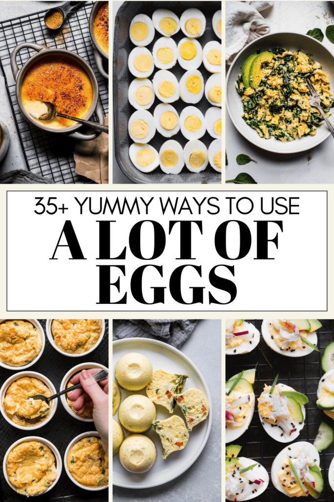 35+ Recipes that Use a Lot of Eggs - Platings + Pairings