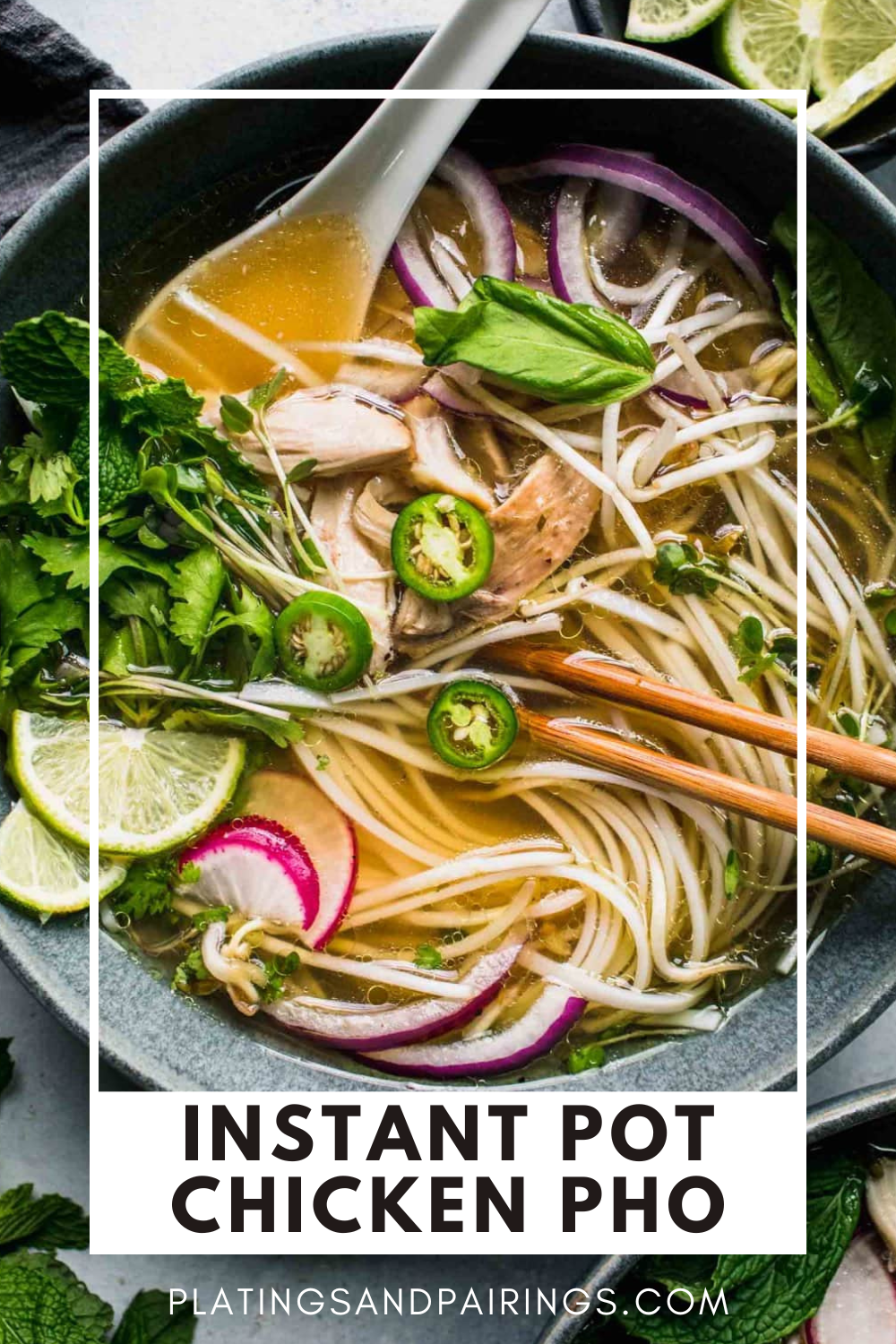 Instant Pot Chicken Pho (Vietnamese Pho Ga Recipe)