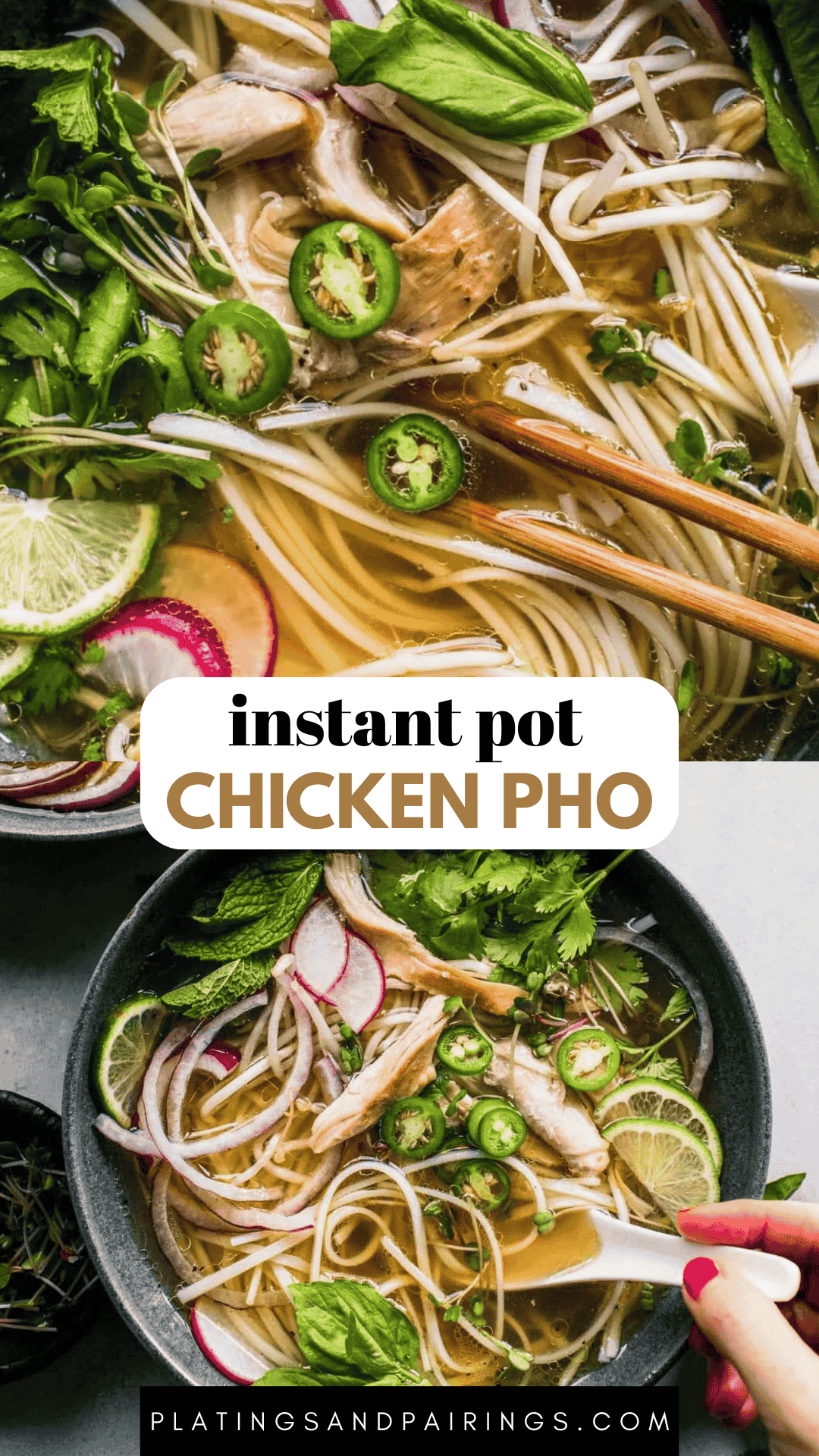 Instant Pot Chicken Pho (Vietnamese Pho Ga Recipe)