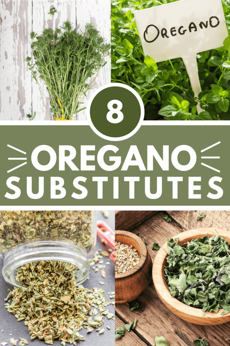 The 9+ Best Substitutes for Oregano - Platings + Pairings