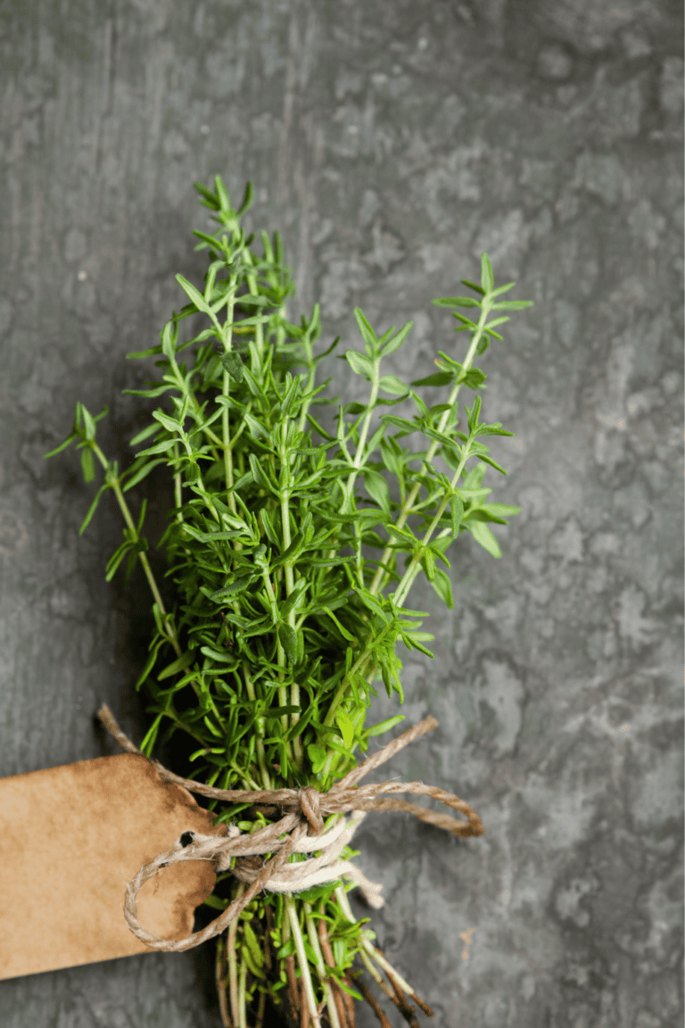 The BEST Substitute for Tarragon: 10 Swap-In Ideas - Platings + Pairings