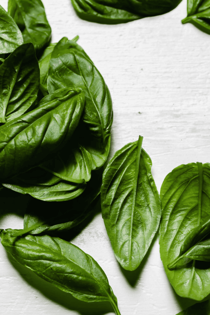 The BEST Substitute for Tarragon: 10 Swap-In Ideas - Platings + Pairings