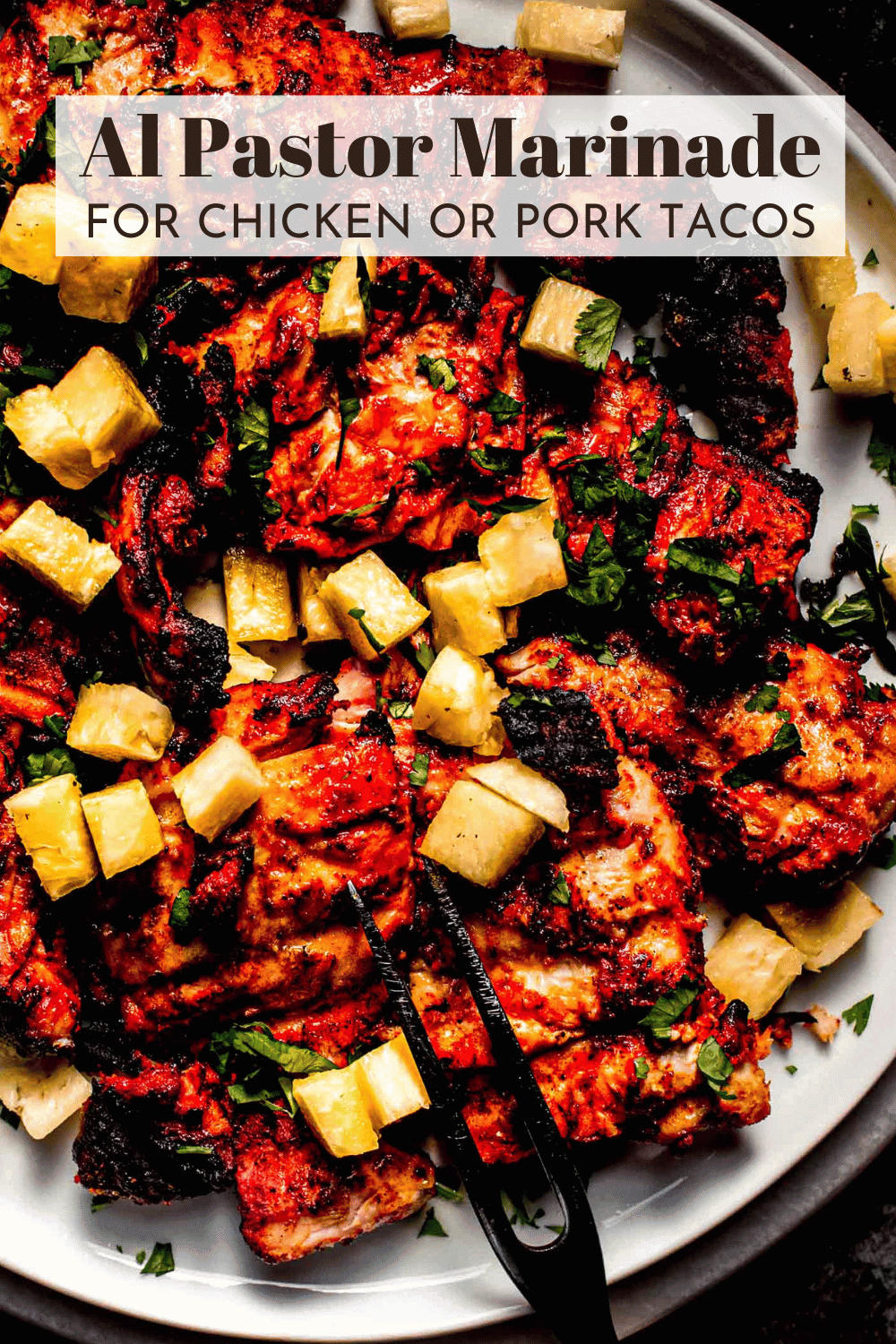 Al Pastor Marinade - Platings + Pairings