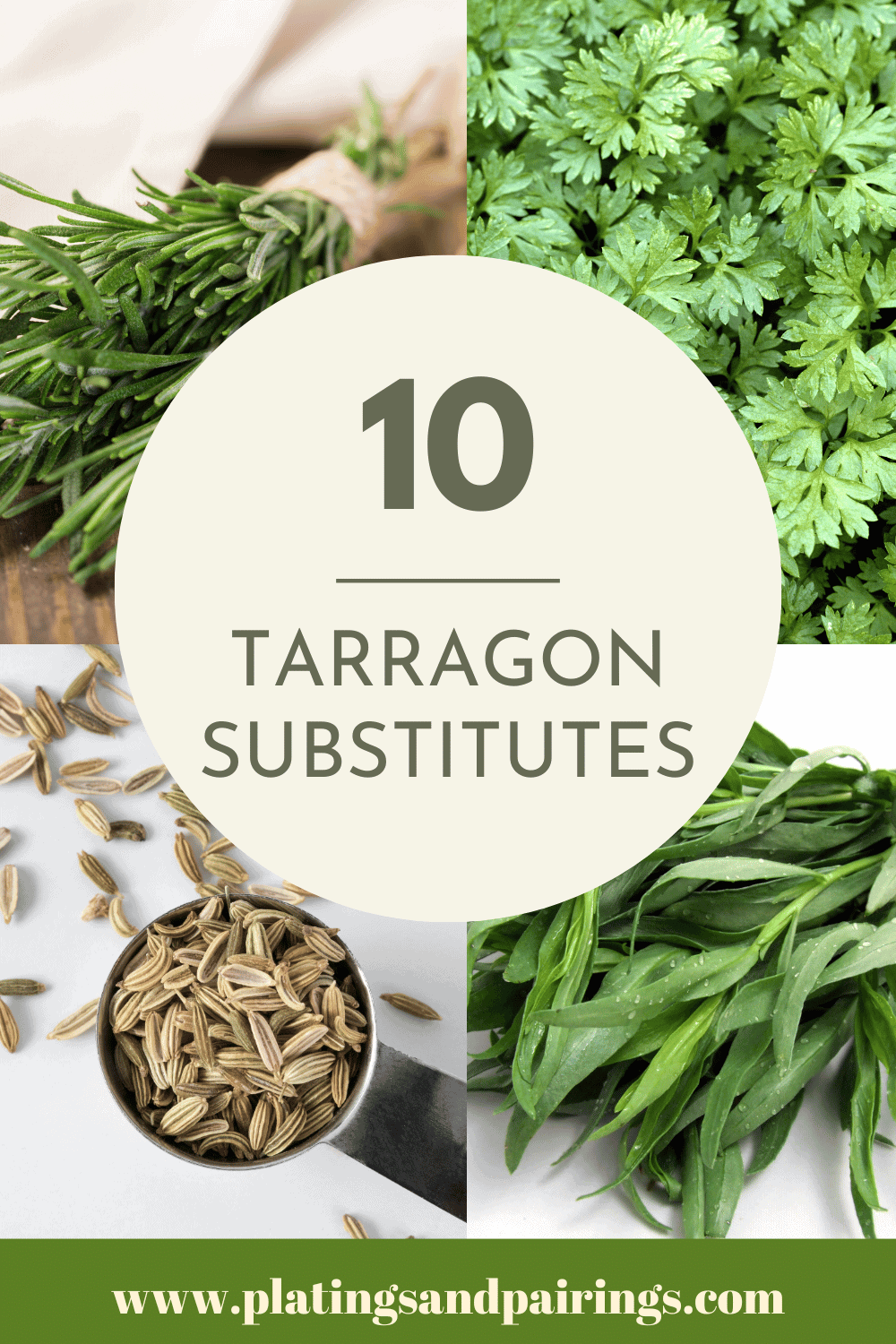 The BEST Substitute for Tarragon: 10 Swap-In Ideas - Platings + Pairings